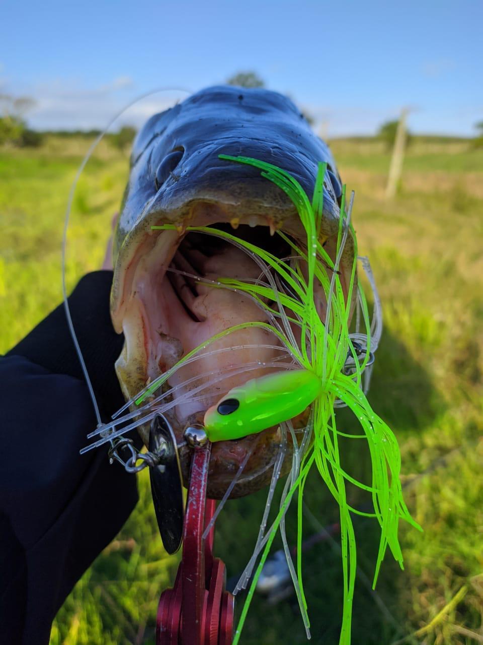 HULA-HULA SPINNER 20 gramas - EXTREME JIGS - OFICIAL extremejigs.com