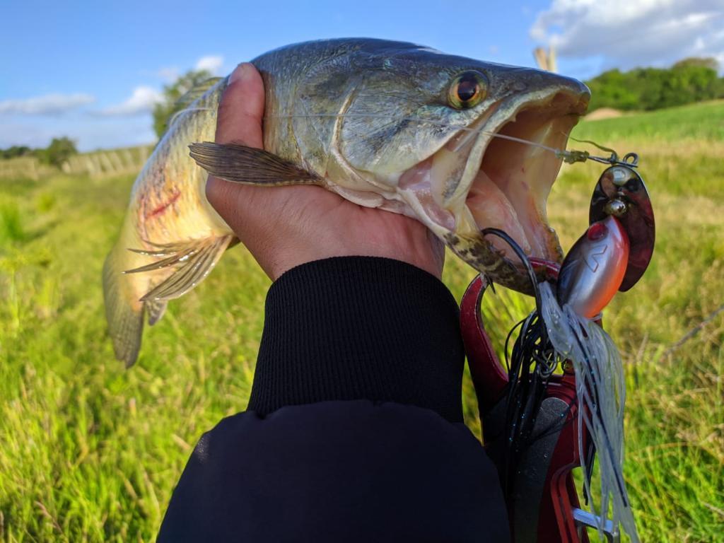 HULA-HULA SPINNER 20 gramas - EXTREME JIGS - OFICIAL extremejigs.com